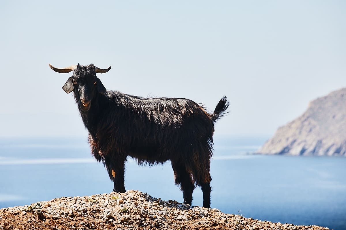 Pâques à Amorgos