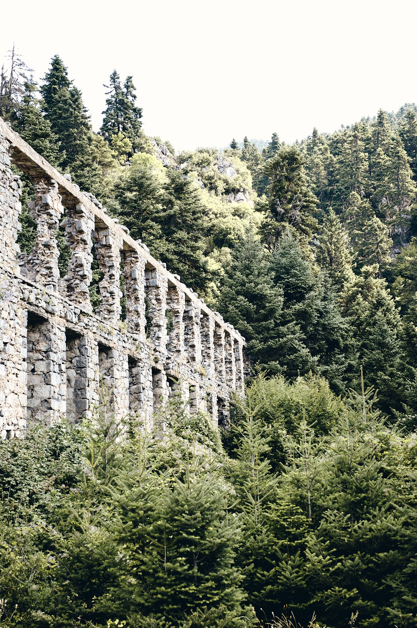 Aux sources de l'Arcadie