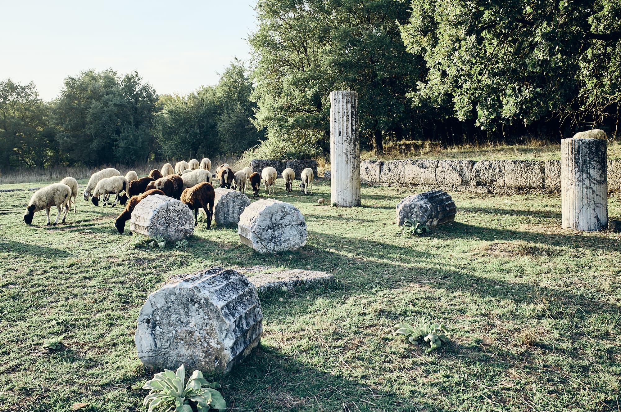 Aux sources de l'Arcadie